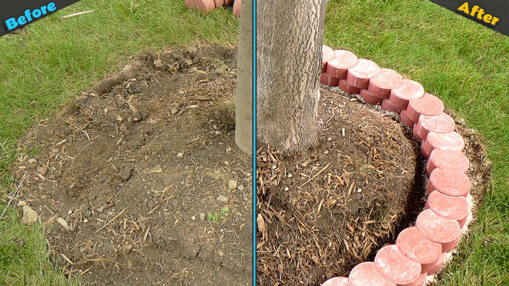 Paul Does It All: Handyman in Fond du Lac Wisconsin